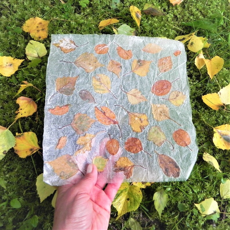 Autumn decor craft home made paper sheets with dry fall birch | Etsy