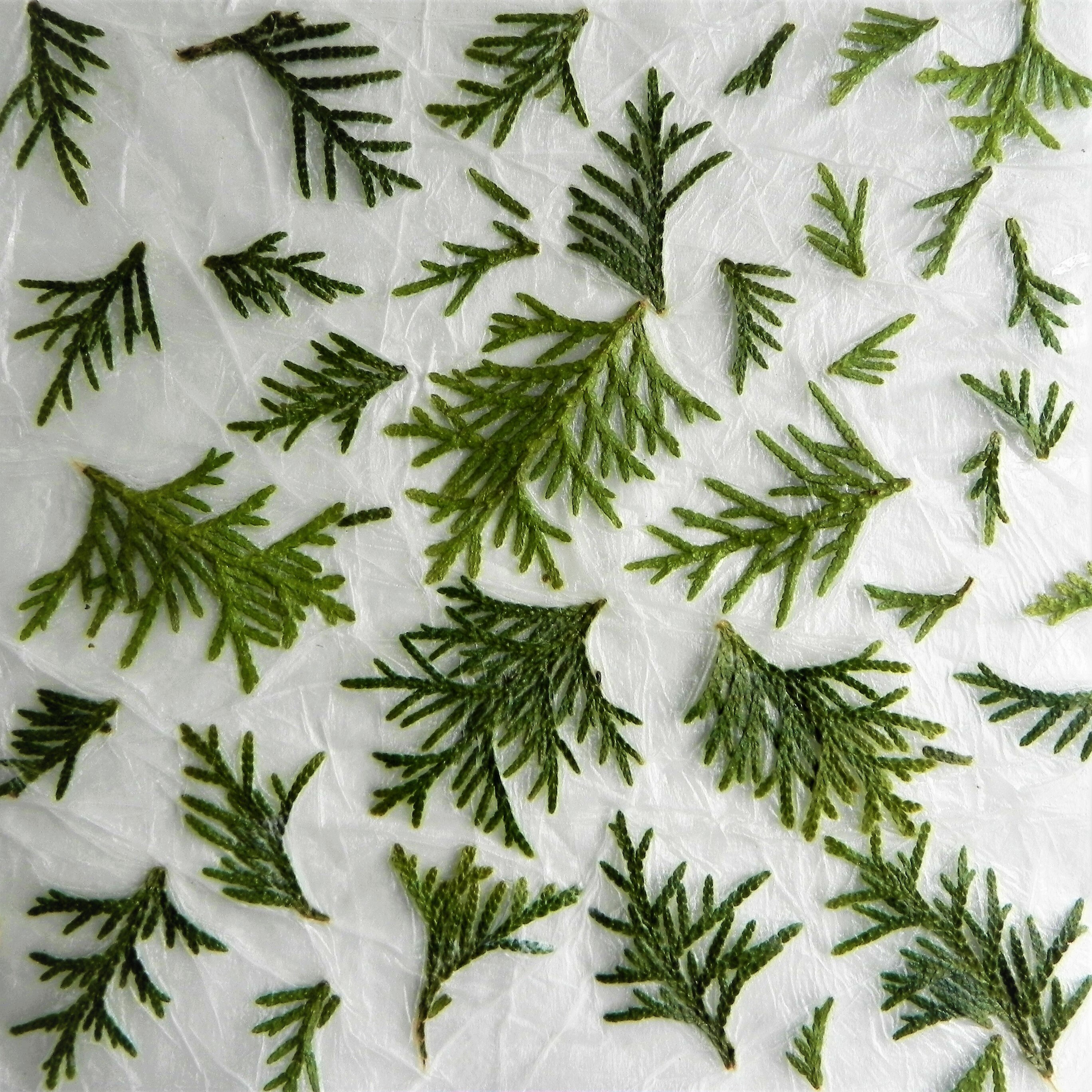 Handmade Paper Gift Bag - Unique Green Christmas Wrap - Etsy