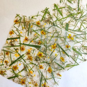 Handmade Paper Set of 2 Sheets, Botanical Pages With Real Wildflower ...