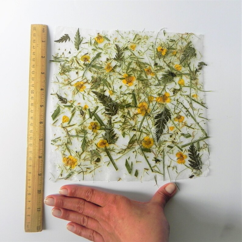 Handmade Yellow Meadow Flowers Paper for Art Craft Projects or Gift ...