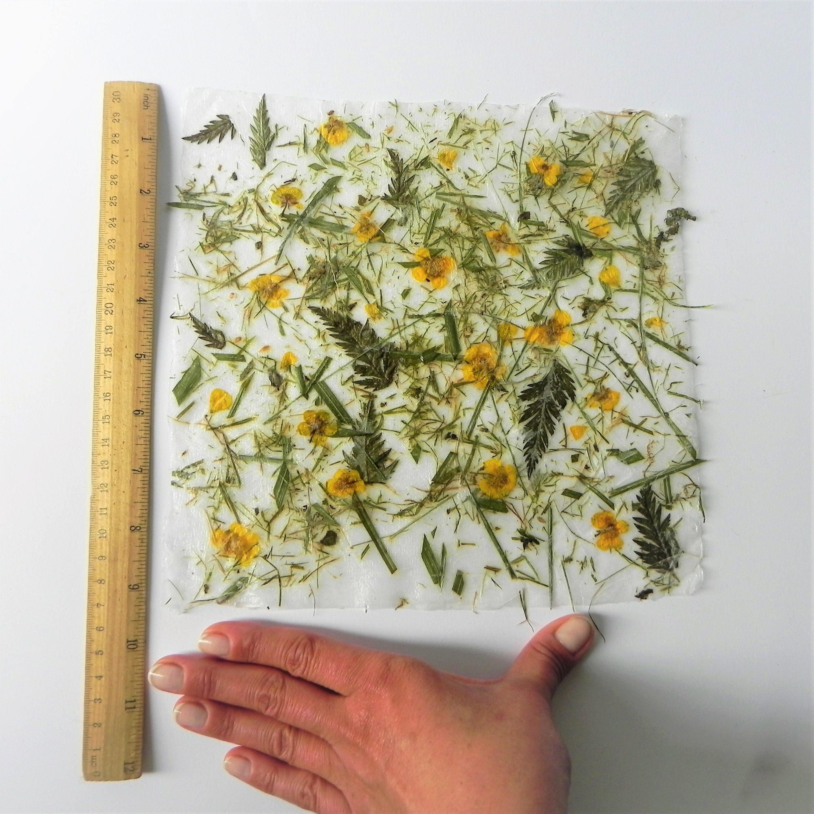 Handmade Yellow Meadow Flowers Paper for Art Craft Projects or - Etsy UK