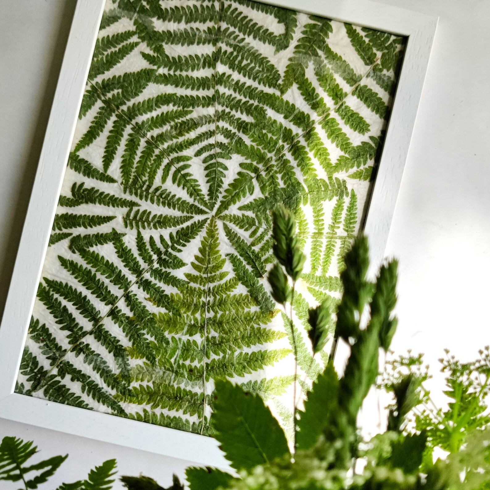 Unique Fern Wall Decor Framed Botanical Gift Pressed Flower Art - Etsy