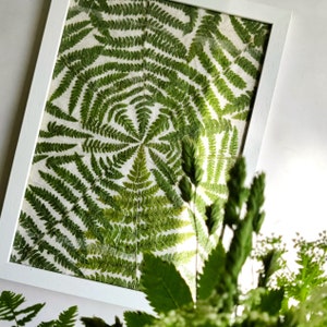 Unique Fern Wall Decor Framed Botanical Gift Pressed Flower Art - Etsy