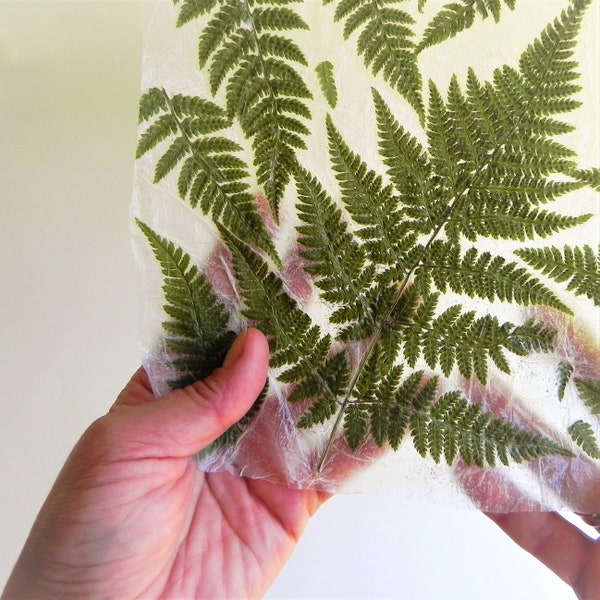 Fern Paper - Etsy