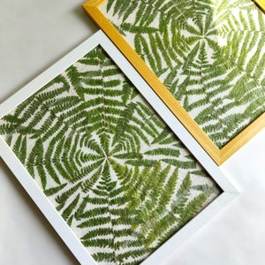 Unique Fern Wall Decor Framed Botanical Gift Pressed Flower Art - Etsy