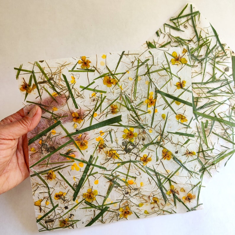Handmade Paper Set of 2 Sheets, Botanical Pages With Real Wildflower ...