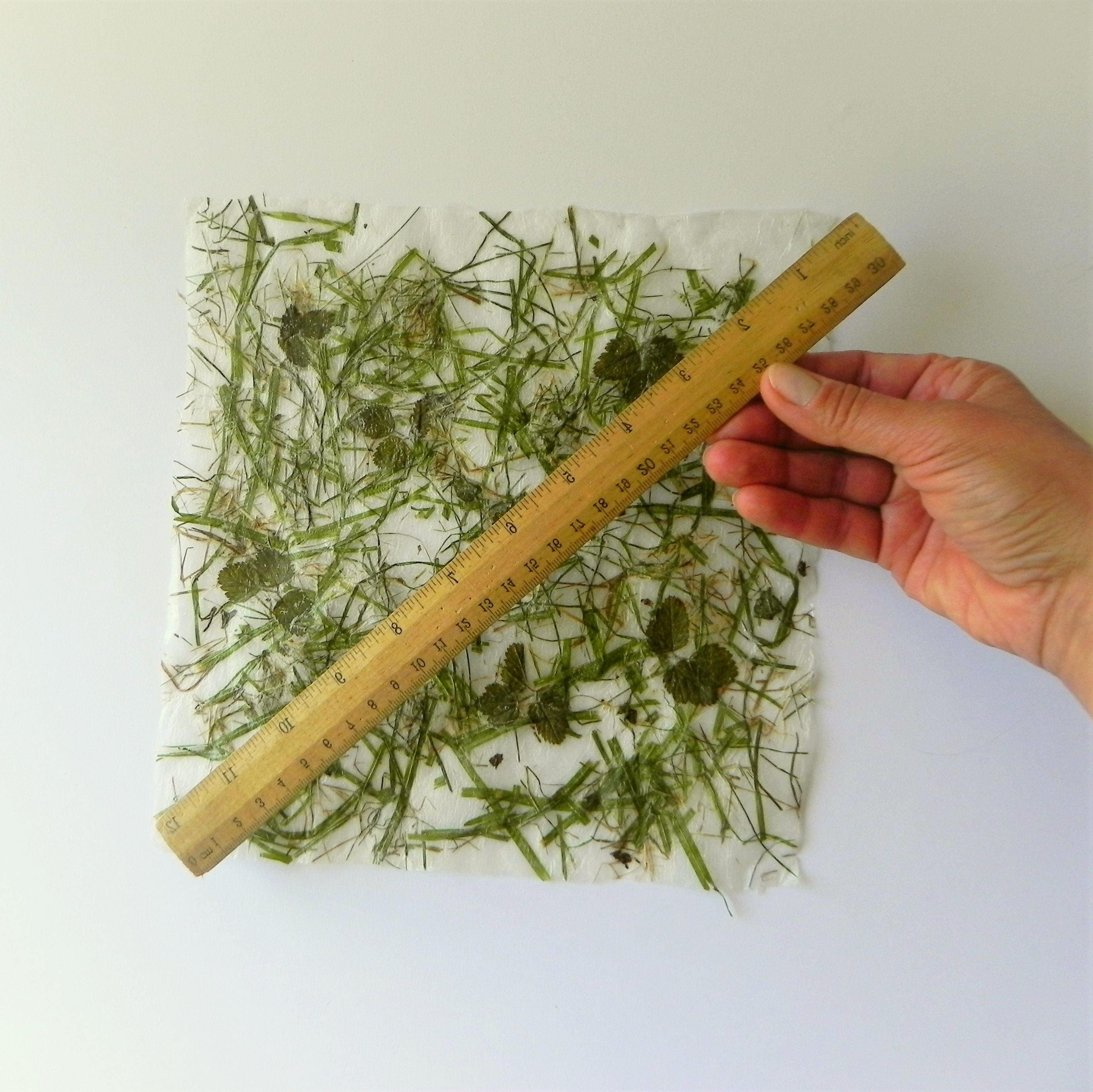 Decorative Paper With Real Grass, Homemade Art Craft Journal Paper ...