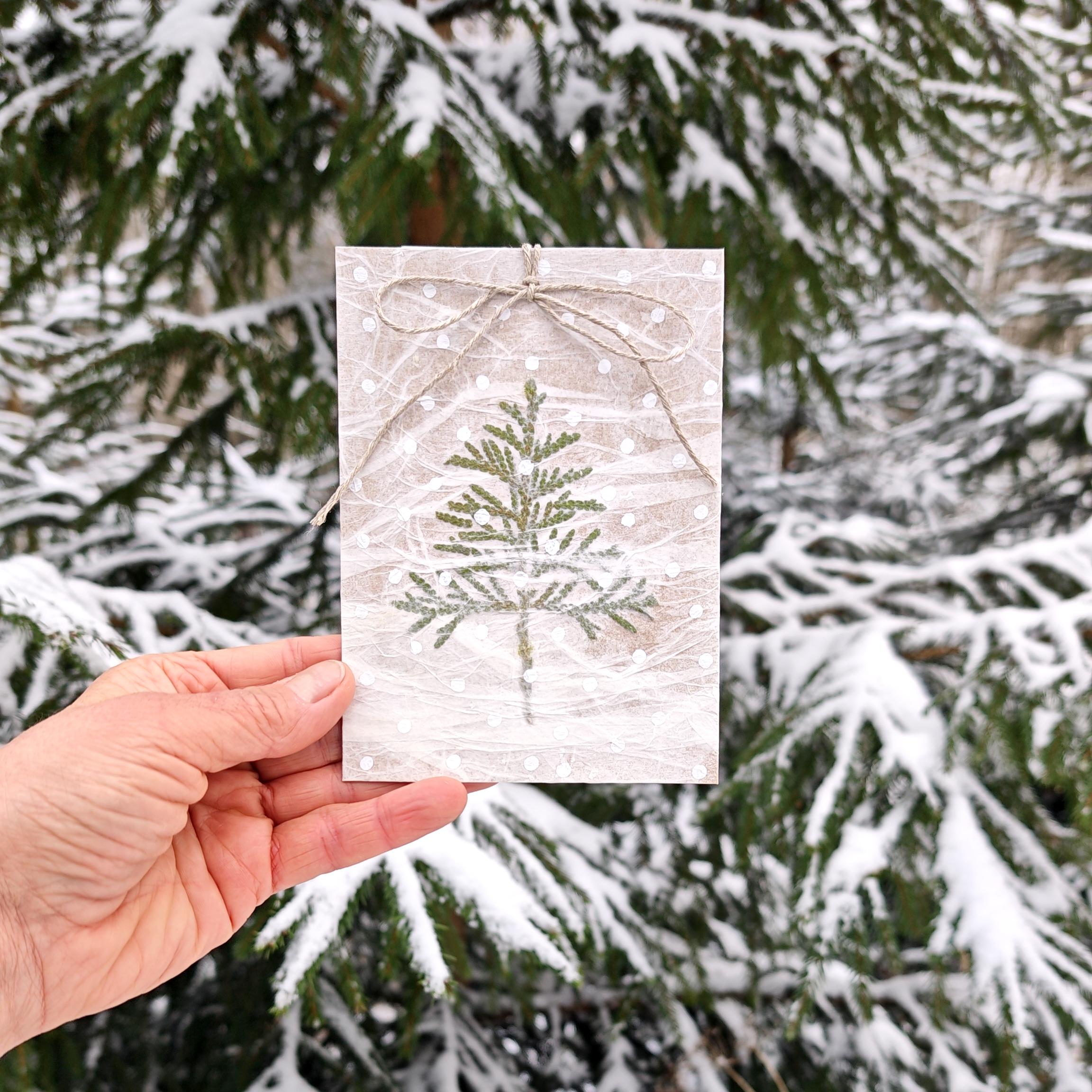 Green Christmas Tree Cards, Dried Botanical Winter Art, Handmade Paper ...