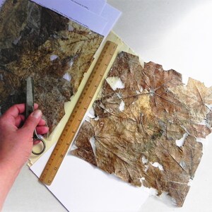 Hand Made Maple Leaf Paper, Fall Rustic Vintage Style Papers for Junk ...