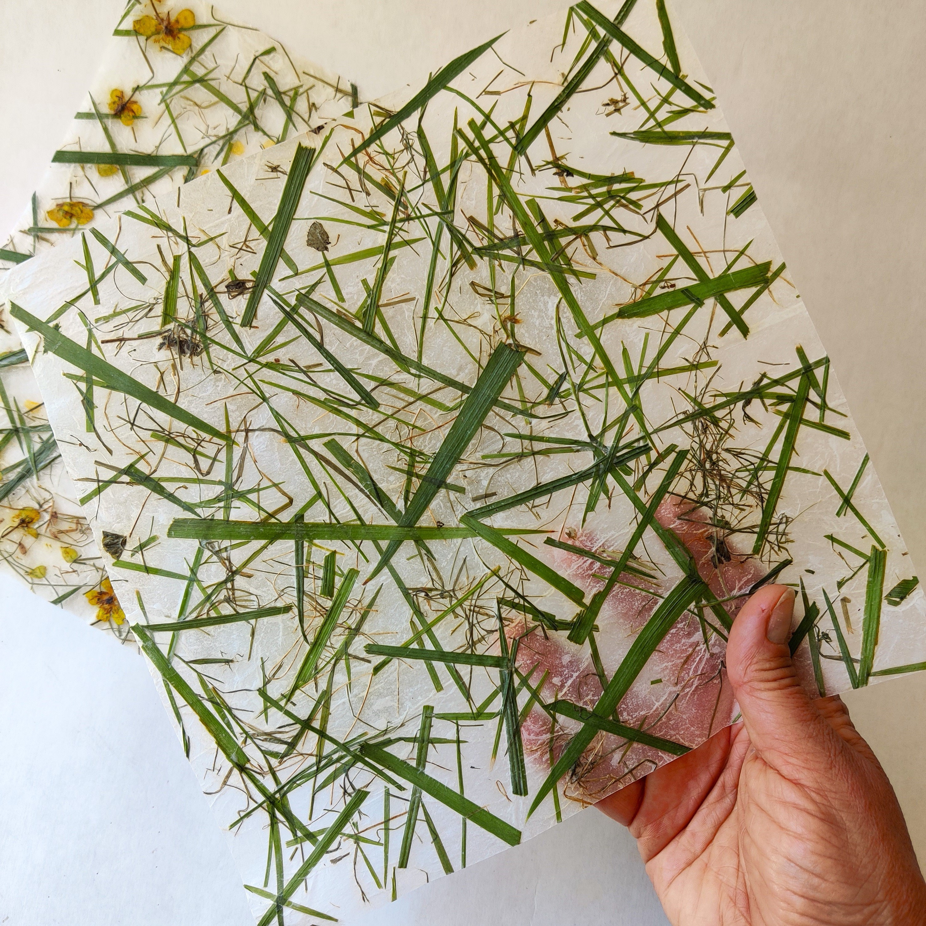 Handmade Paper Set of 2 Sheets, Botanical Pages With Real Wildflower ...