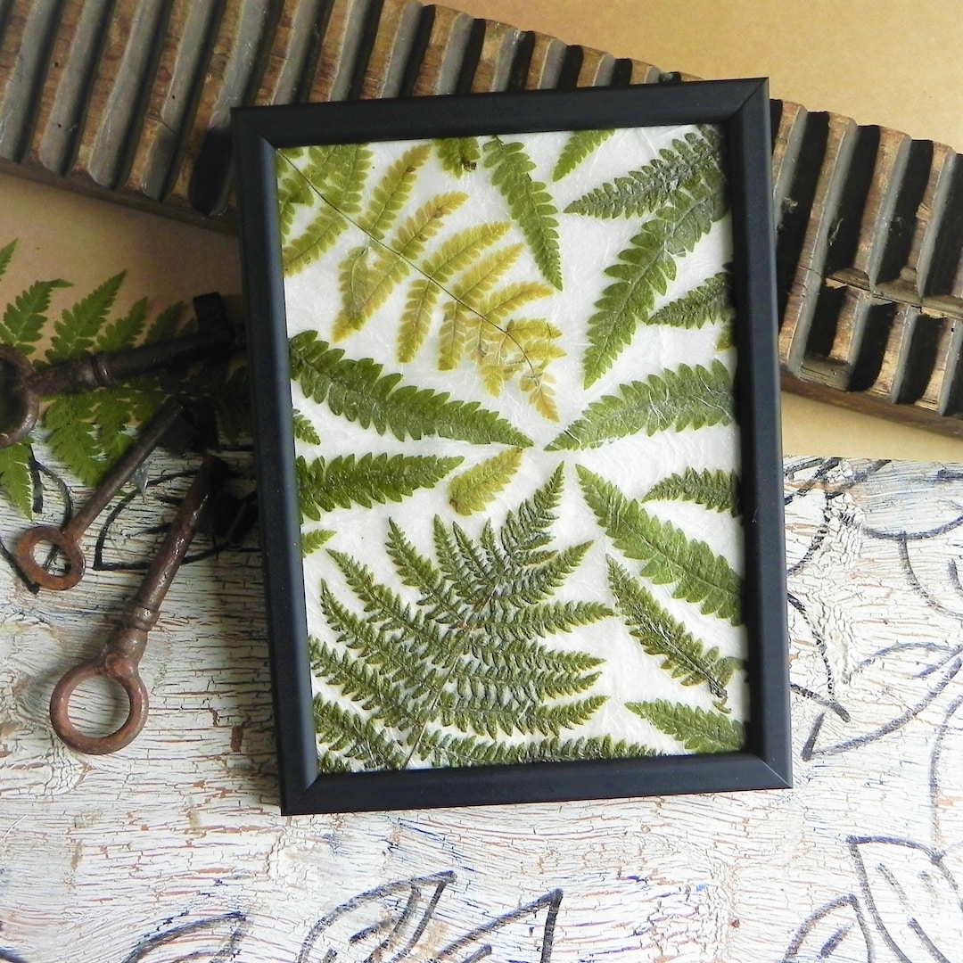 Pressed Fern Art in Frame, Hygge Home Decor Gift Idea, Botanical Wall ...