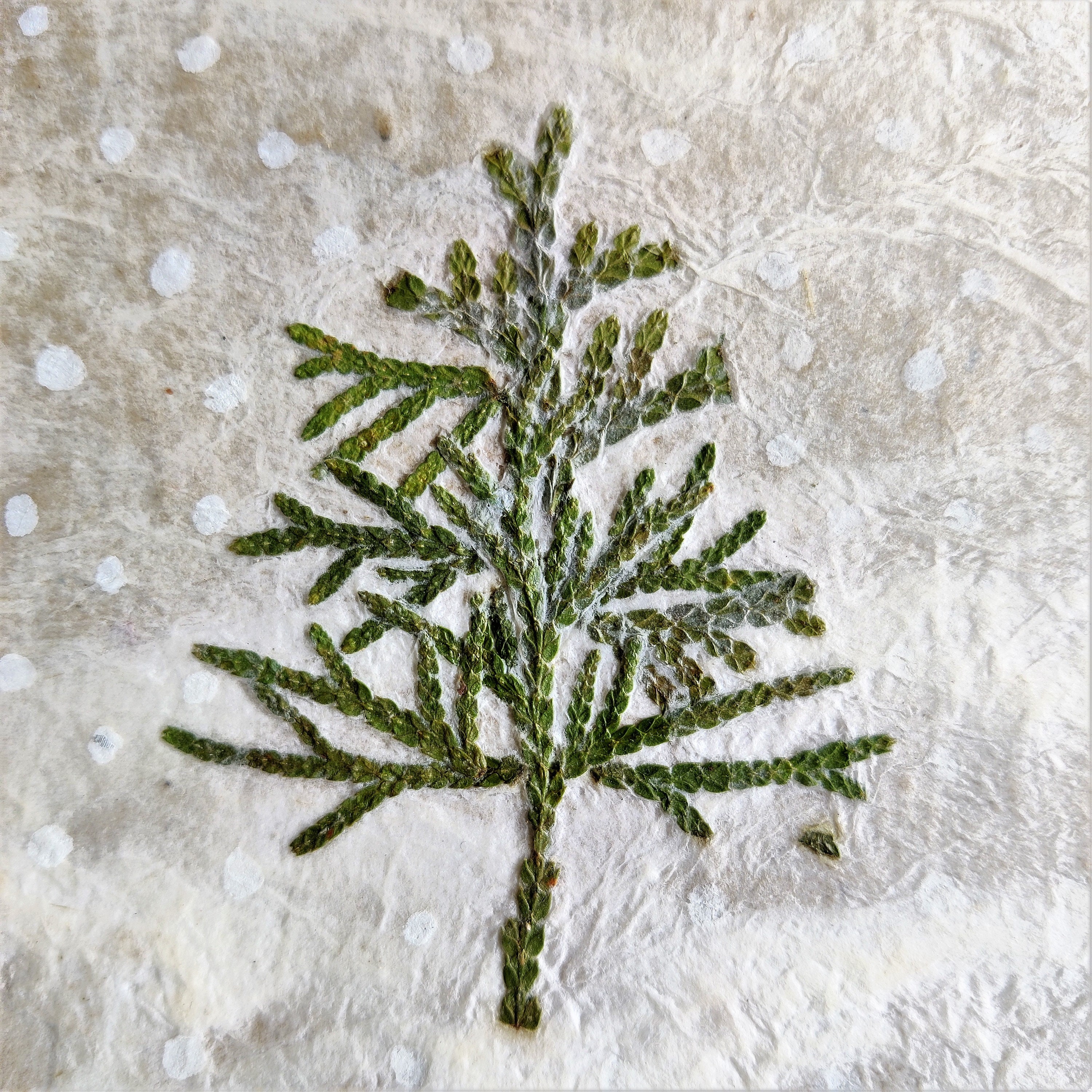 Green Christmas Tree Cards, Dried Botanical Winter Art, Handmade Paper ...