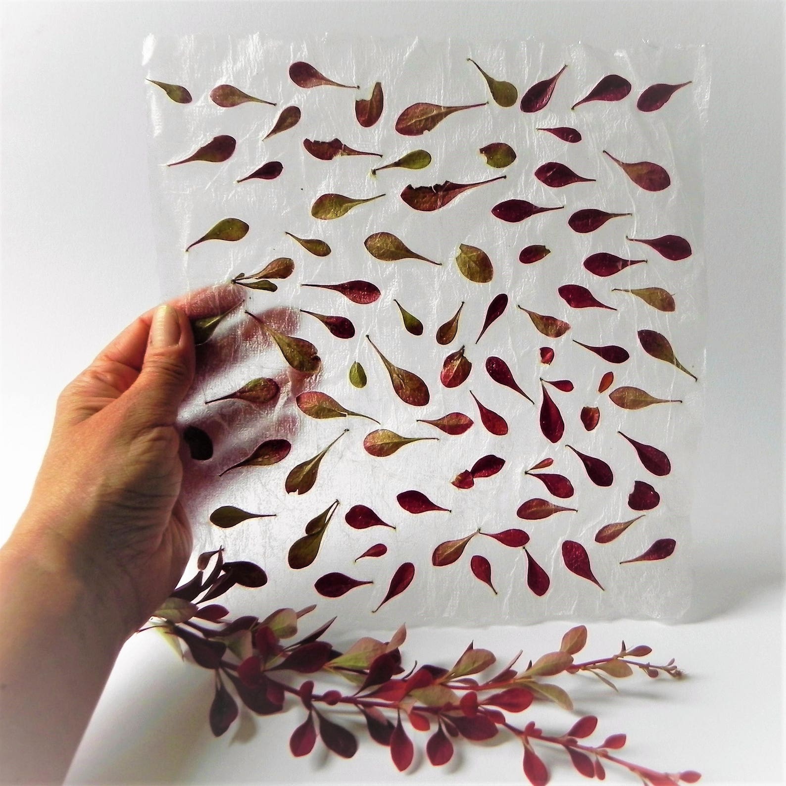 Handmade Nature Paper, Leaf Texture Paper, Botanical Gift Wrap - Etsy