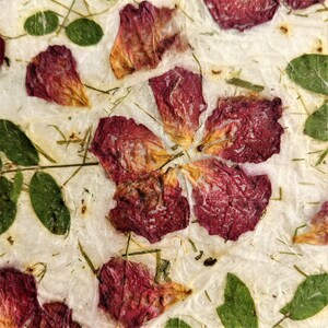 Pink Rose Petals Handmade Paper A4 Sheets Specialty Deco Papers - Etsy