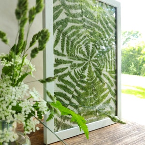 Unique Fern Wall Decor Framed Botanical Gift Pressed Flower Art - Etsy