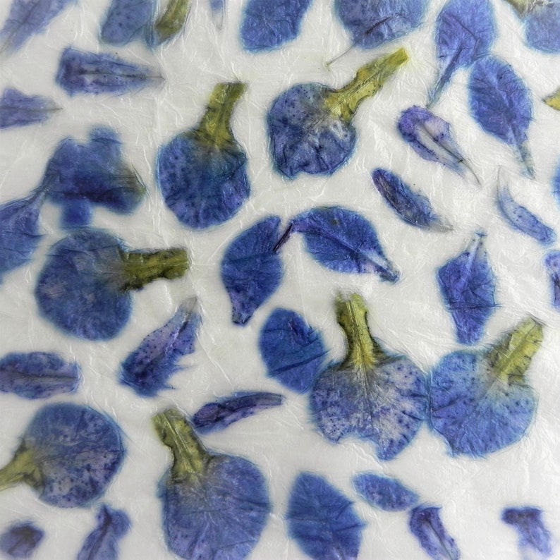 Blue Handmade Paper With Iris Flowers Petals Romantic Floral - Etsy