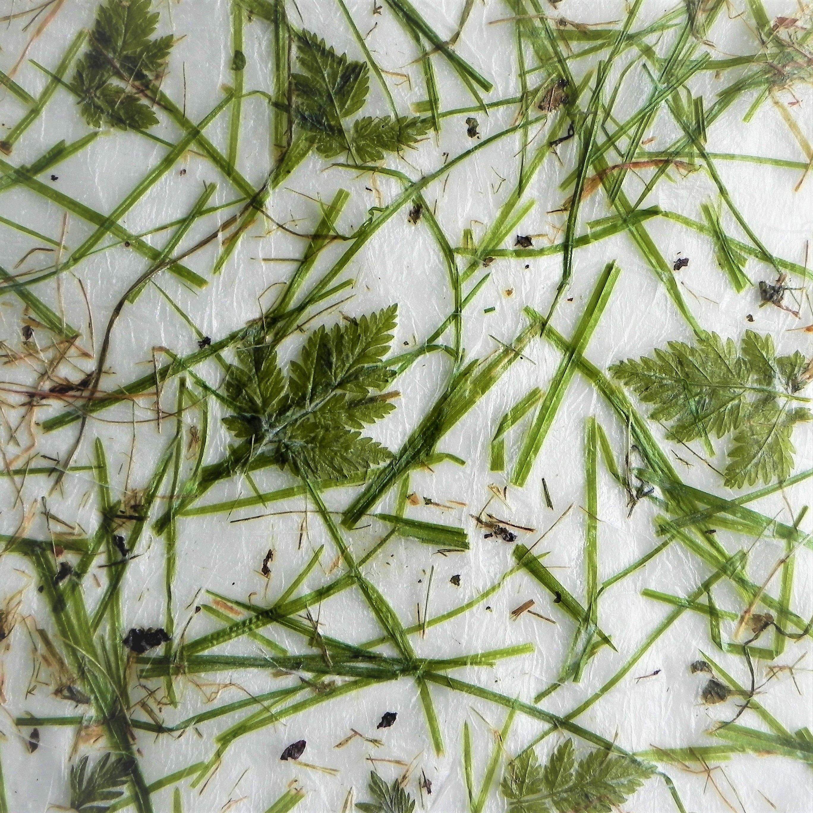Decorative Paper With Real Grass, Homemade Art Craft Journal Paper ...