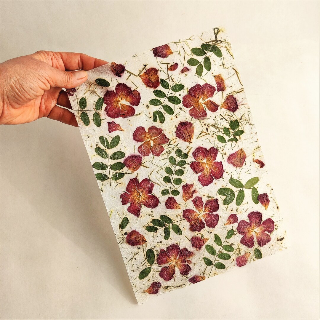 Pink Rose Petals Handmade Paper A4 Sheets Specialty Deco Papers - Etsy