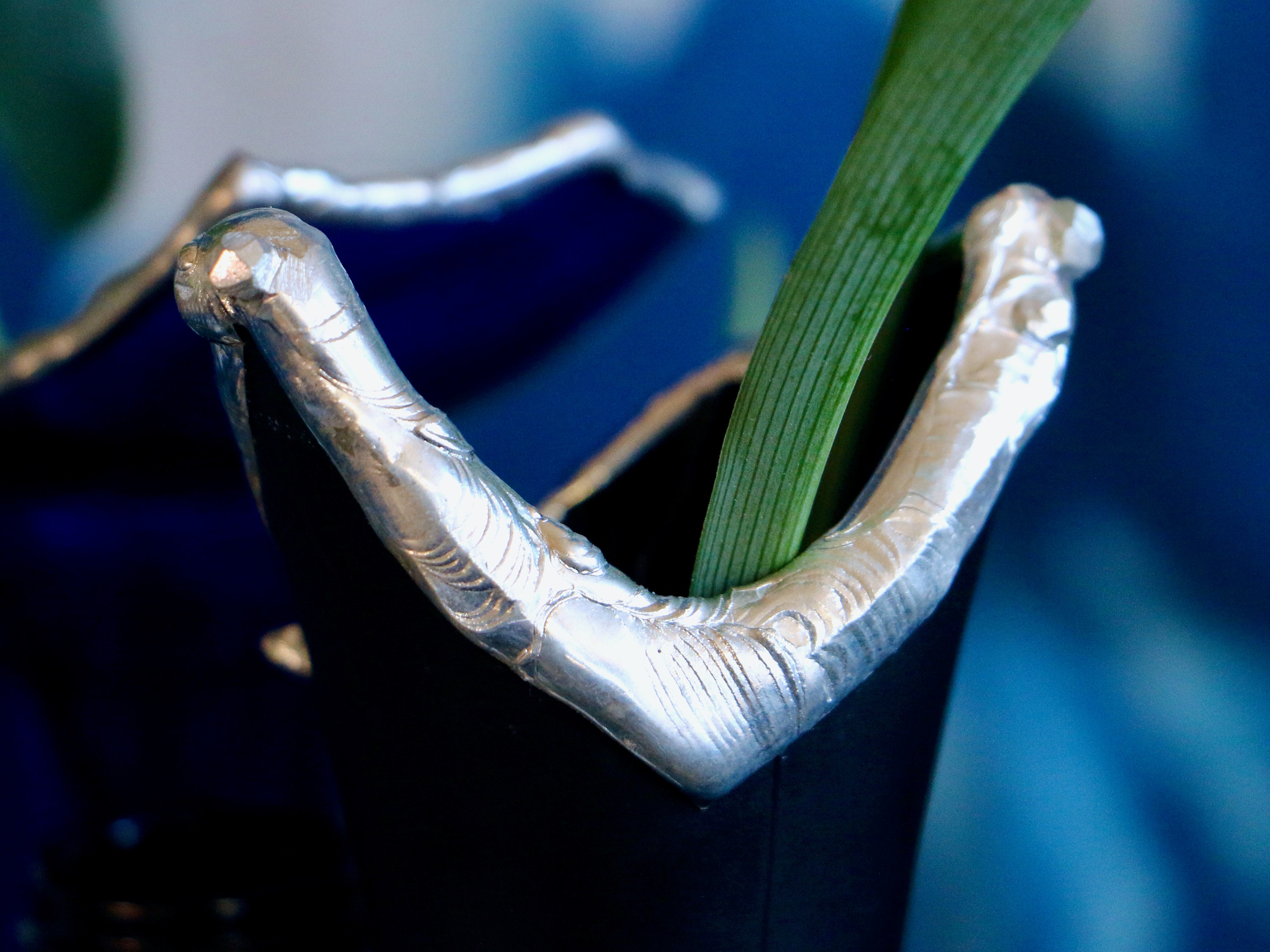 Rooting Flutes, Reimagined Glass Plant Propagation - Etsy