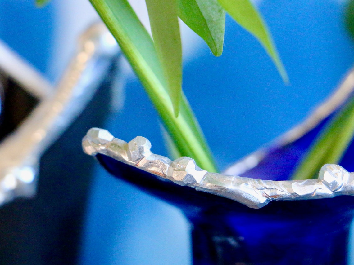 Rooting Flutes Reimagined Glass Plant Propagation - Etsy