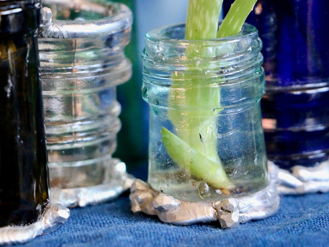 Rooting Flutes Reimagined Glass Plant Propagation - Etsy