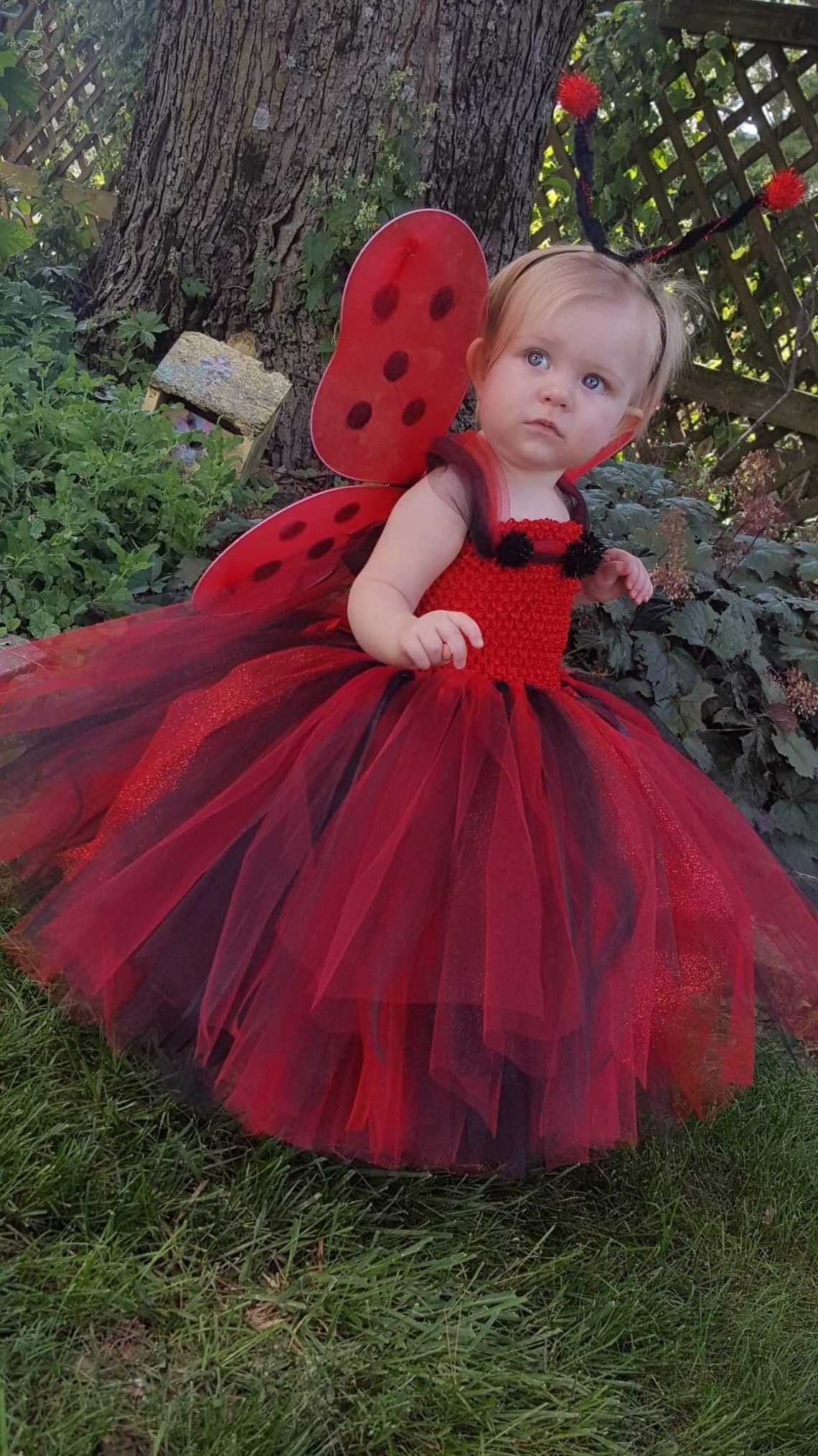 Ladybug Tutu Dress With Wings and Antenna Headband Halloween - Etsy