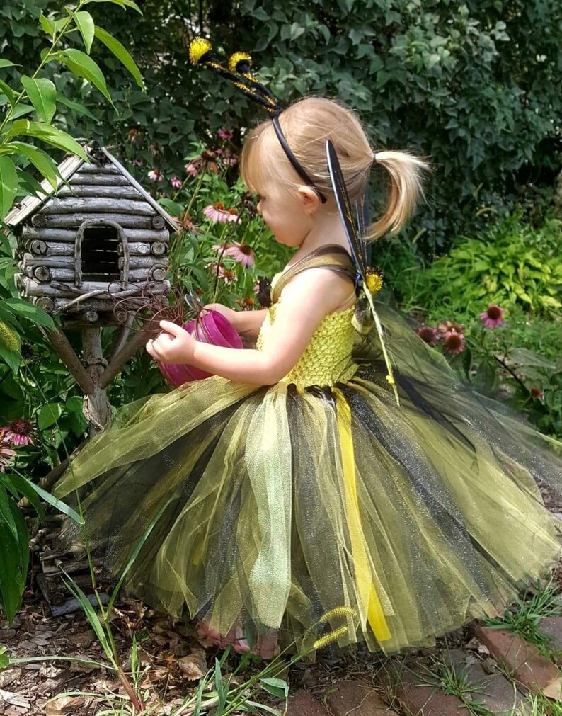 Yellow Black Bumblebee Costume W/wings & Antenna Headband - Full 3 ...