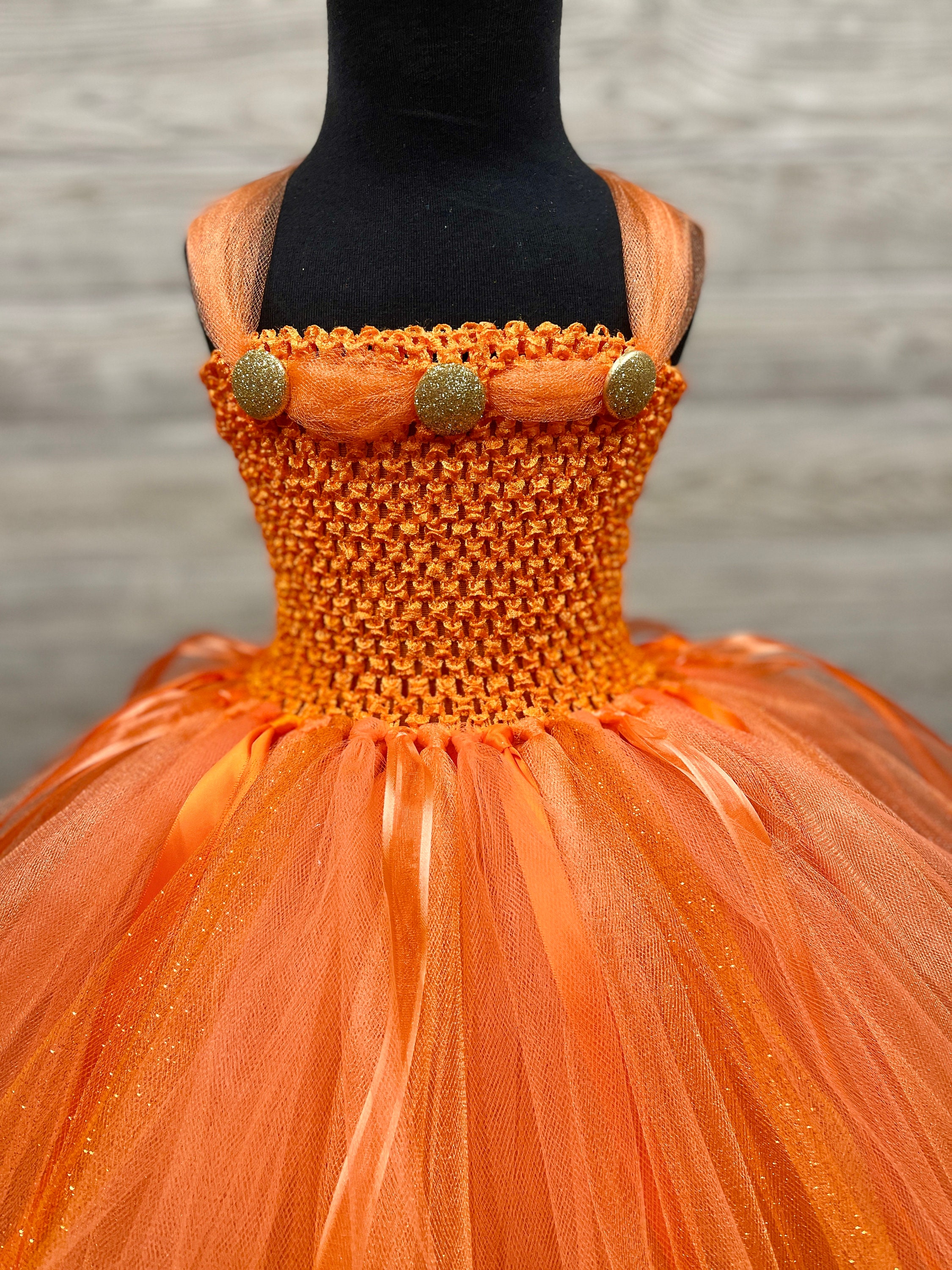 Orange Fairy Princess Birthday Costume W/crown Wand Fairy Wings - Full ...