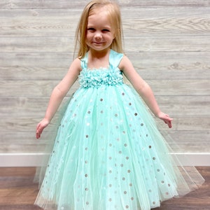 Mint Green With Silver Polka Dot Princess Tutu Dress for Girls - Floral ...