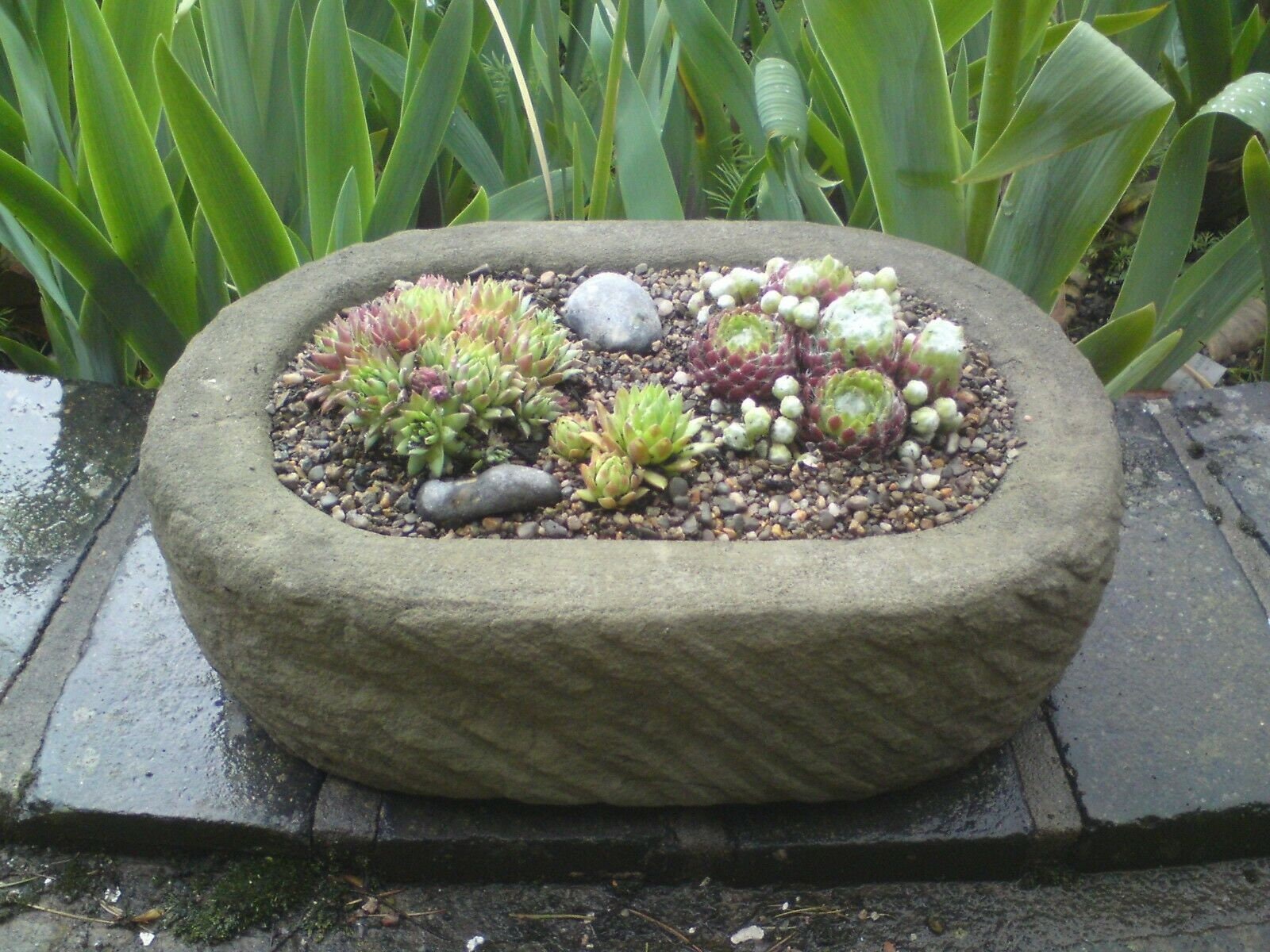 Reconstituted Stone Garden Rustic Oval Alpine Rock Trough - Etsy UK