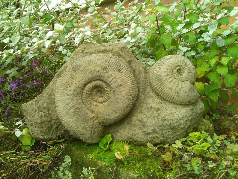 Reconstituted Stone Rock Ammonites Statue - Etsy UK