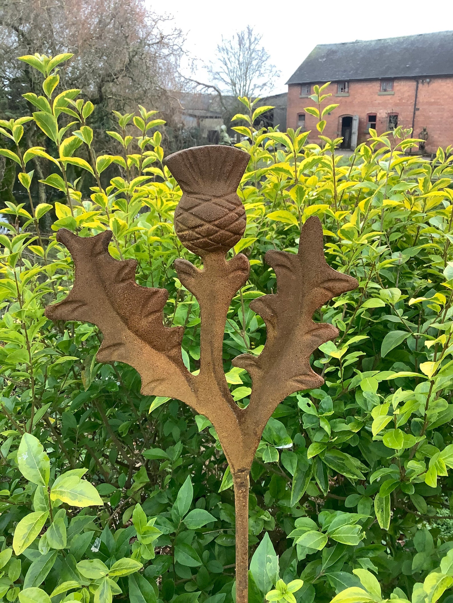 Set of 3 Rusty Metal Thistle Plant Supports / Stands Garden | Etsy UK