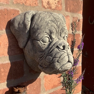 Reconstituted Stone Boxer Dog Head Ornament. - Etsy UK