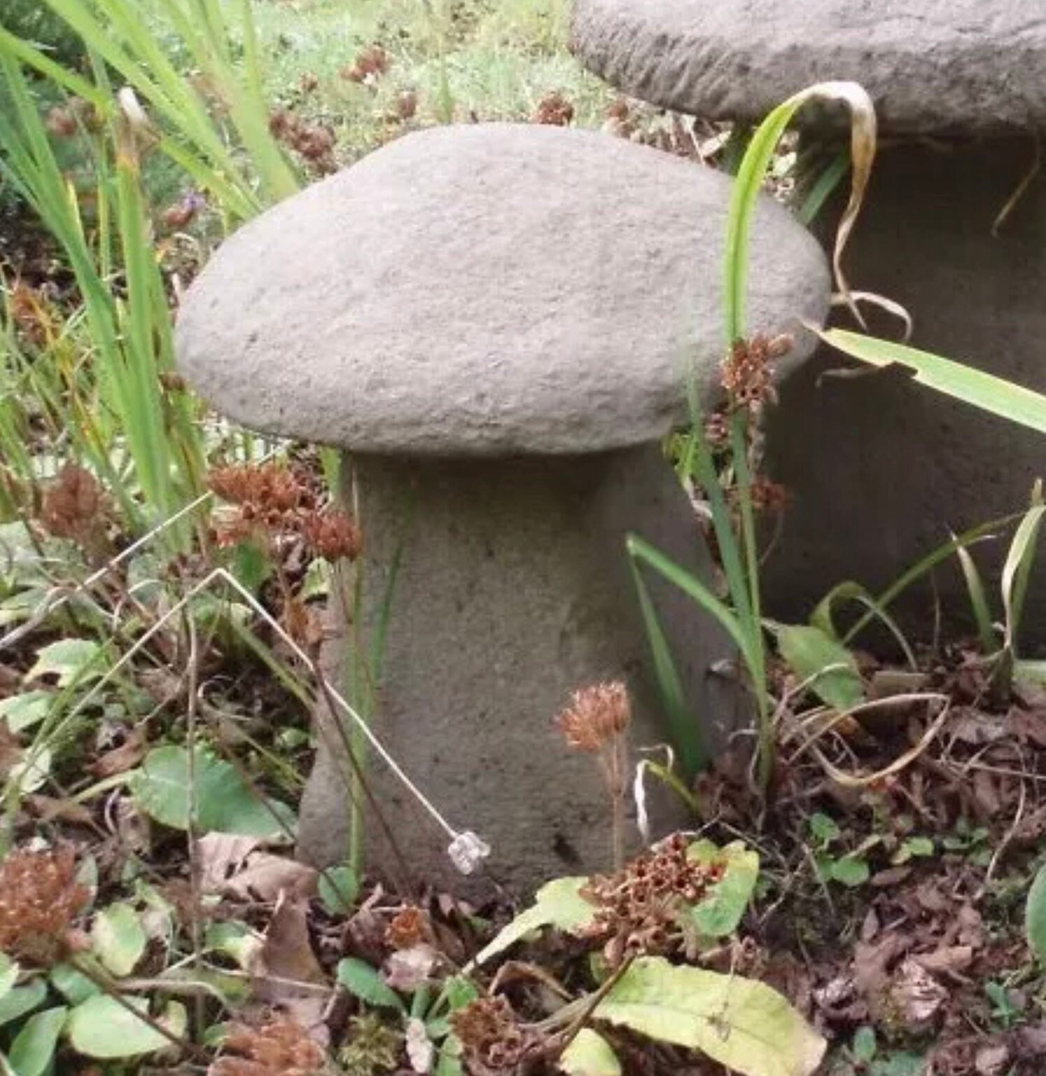 Stone Garden Large Mushroom / Toadstool Ornament - Etsy UK