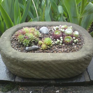 Reconstituted Stone Garden Rustic Oval Alpine Rock Trough Planter - Etsy