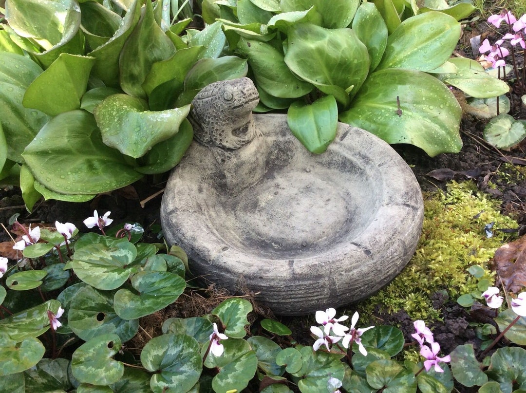 Reconstituted Stone Garden Frog Feeder Dish / Bird Bath Ornament - Etsy UK