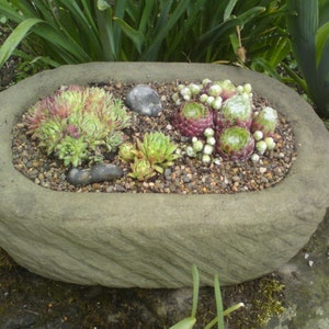 Reconstituted Stone Garden Rustic Oval Alpine Rock Trough Planter - Etsy