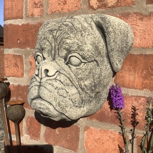 Reconstituted Stone Boxer Dog Head Ornament. - Etsy UK