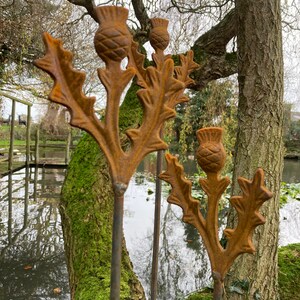 Set of 3 Rusty Metal Thistle Plant Supports / Stands Garden - Steel ...