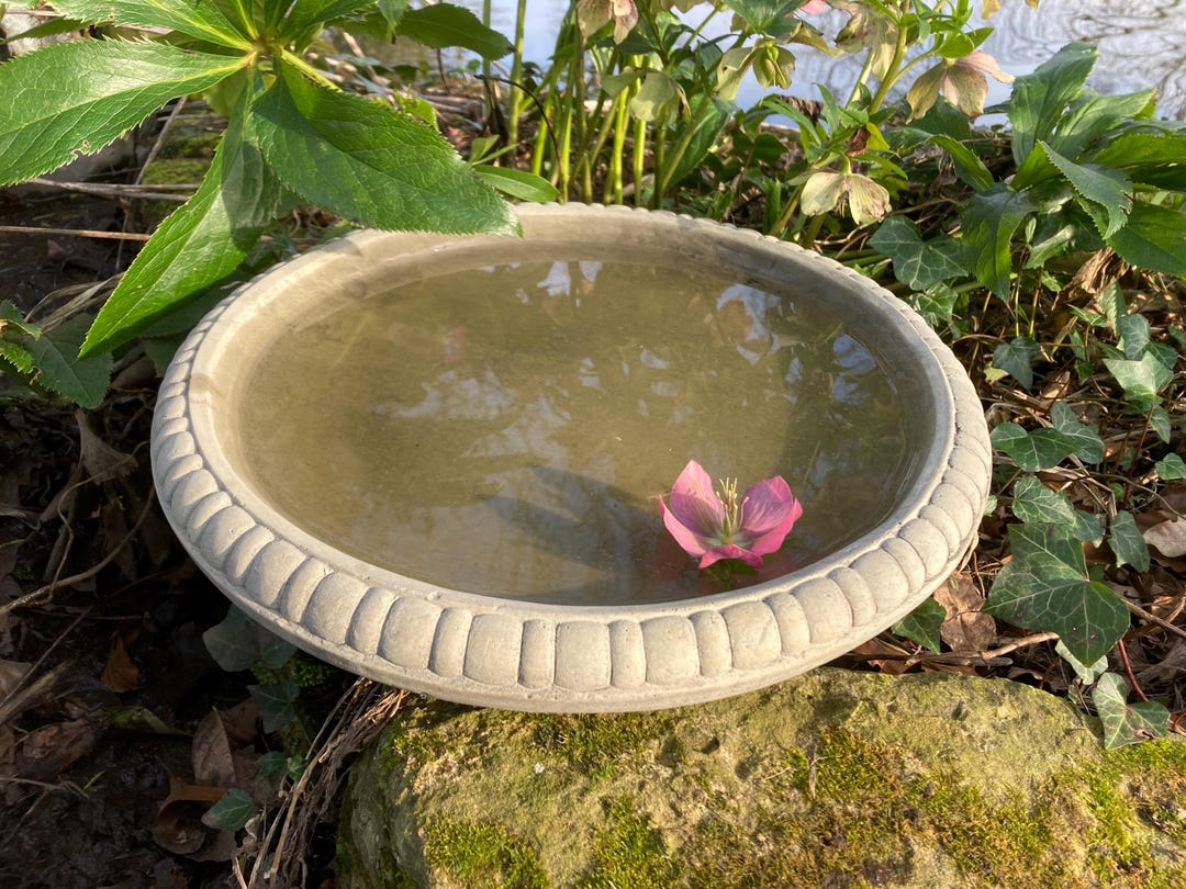 Reconstituted Stone Bird Bath Top Only - Etsy UK