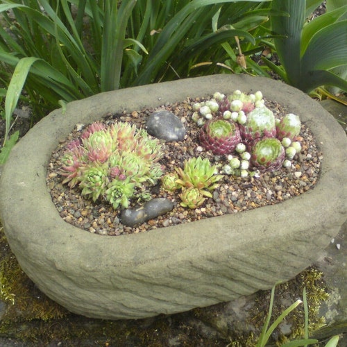 Reconstituted Stone Garden Rustic Alpine Trough Planter - Etsy UK