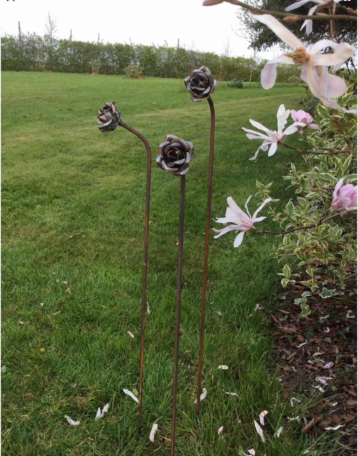 Set of 3 Rusty Metal 1.5m Rose Plant Supports / Stands Garden - Etsy UK