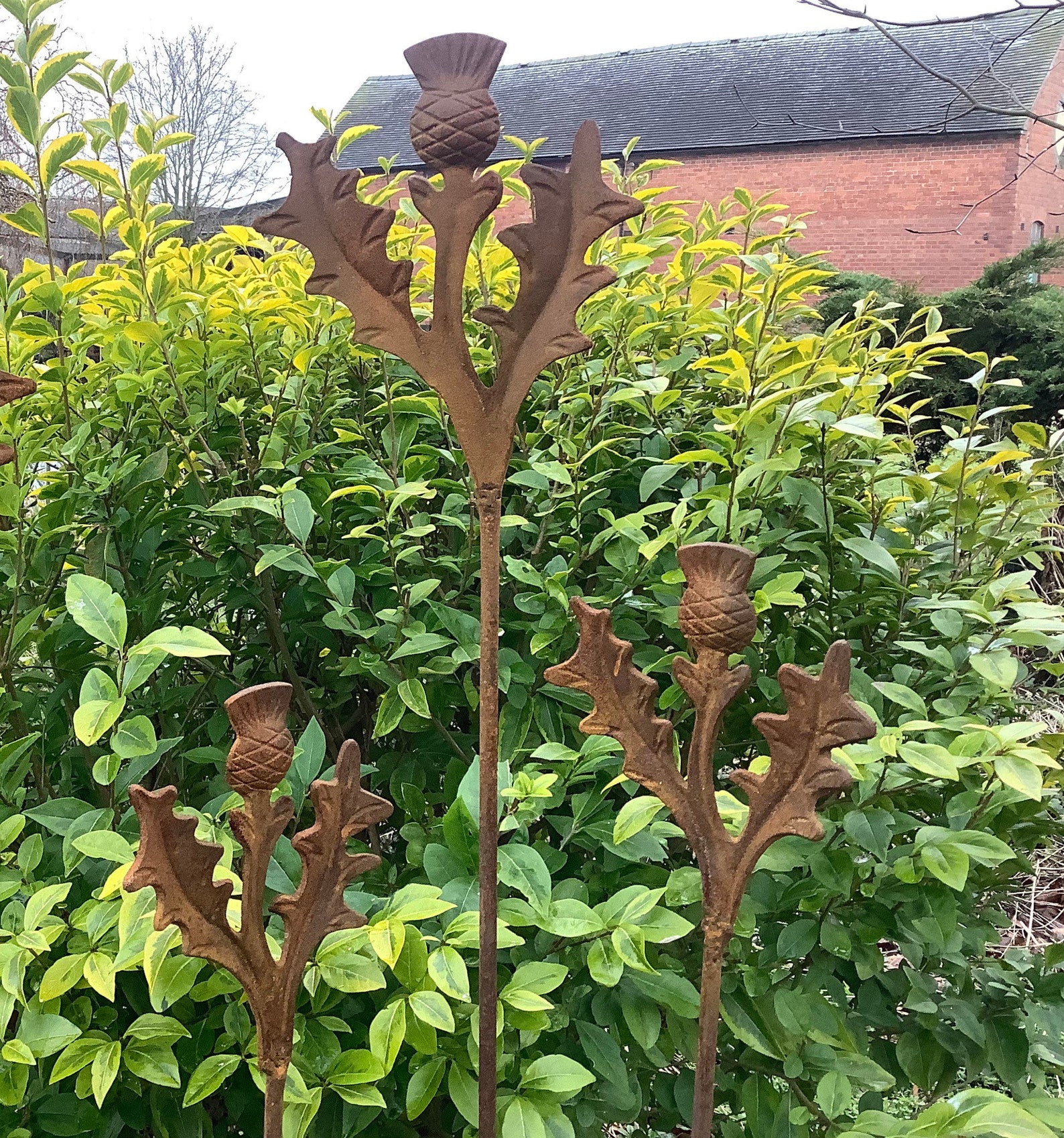 Set of 3 Rusty Metal Thistle Plant Supports / Stands Garden | Etsy UK