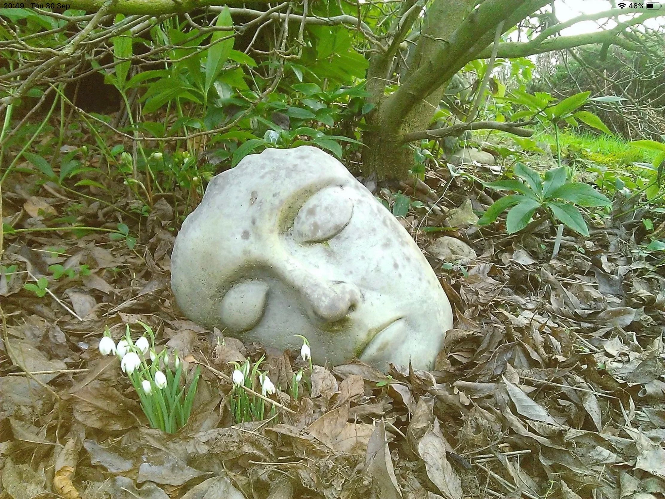 Reconstituted Stone Garden Sleeping Face Ornament - Etsy UK