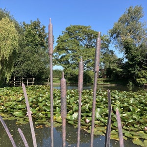 Metal Garden Bulrush Stake Garden Ornament - Etsy UK