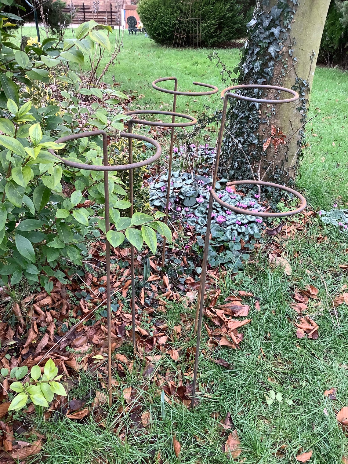 Set of 5 Rusty Metal Circle Plant Supports / Stands Garden - Steel ...