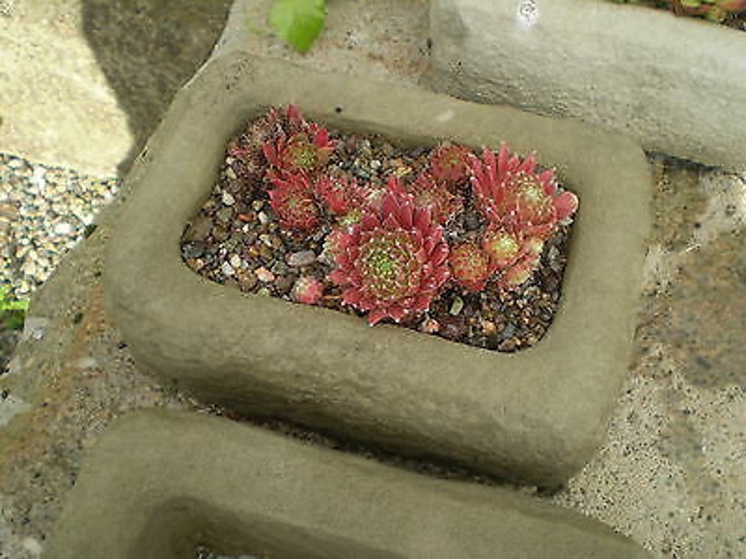 Reconstituted Stone Garden Rustic Alpine Trough Planter - Etsy UK