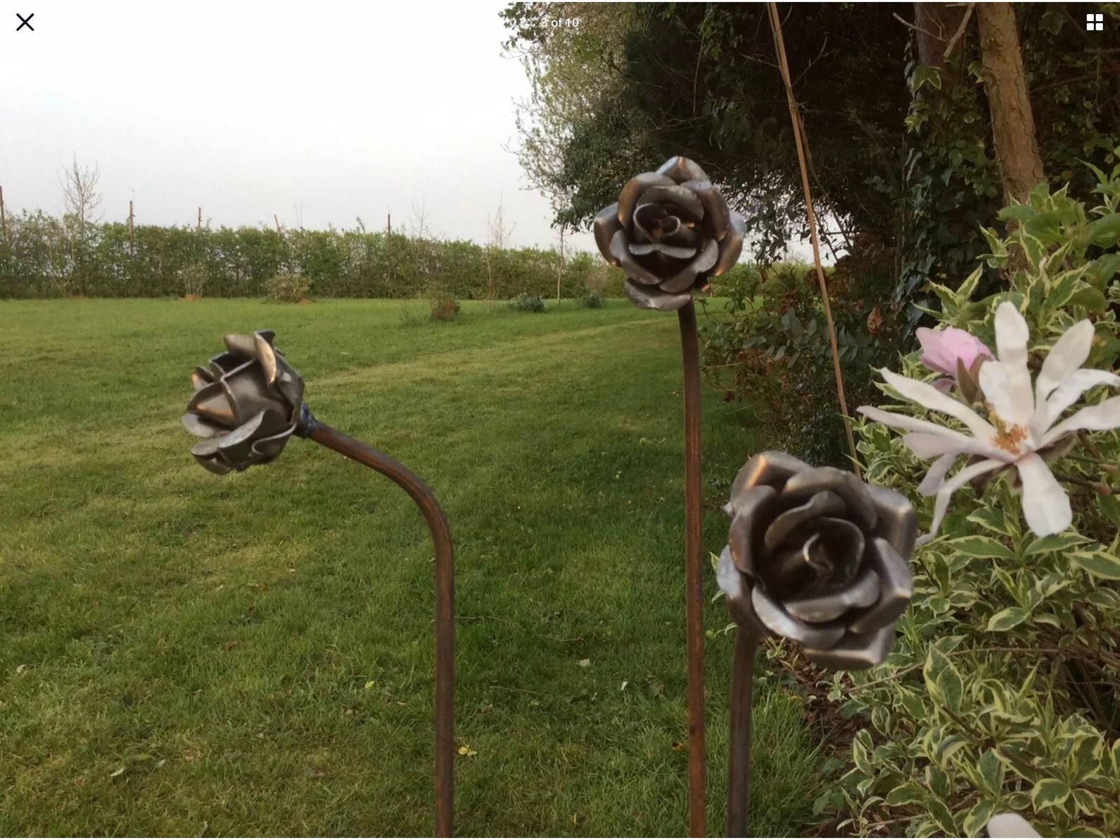 Set of 3 Rusty Metal 1.5m Rose Plant Supports / Stands Garden - Etsy UK