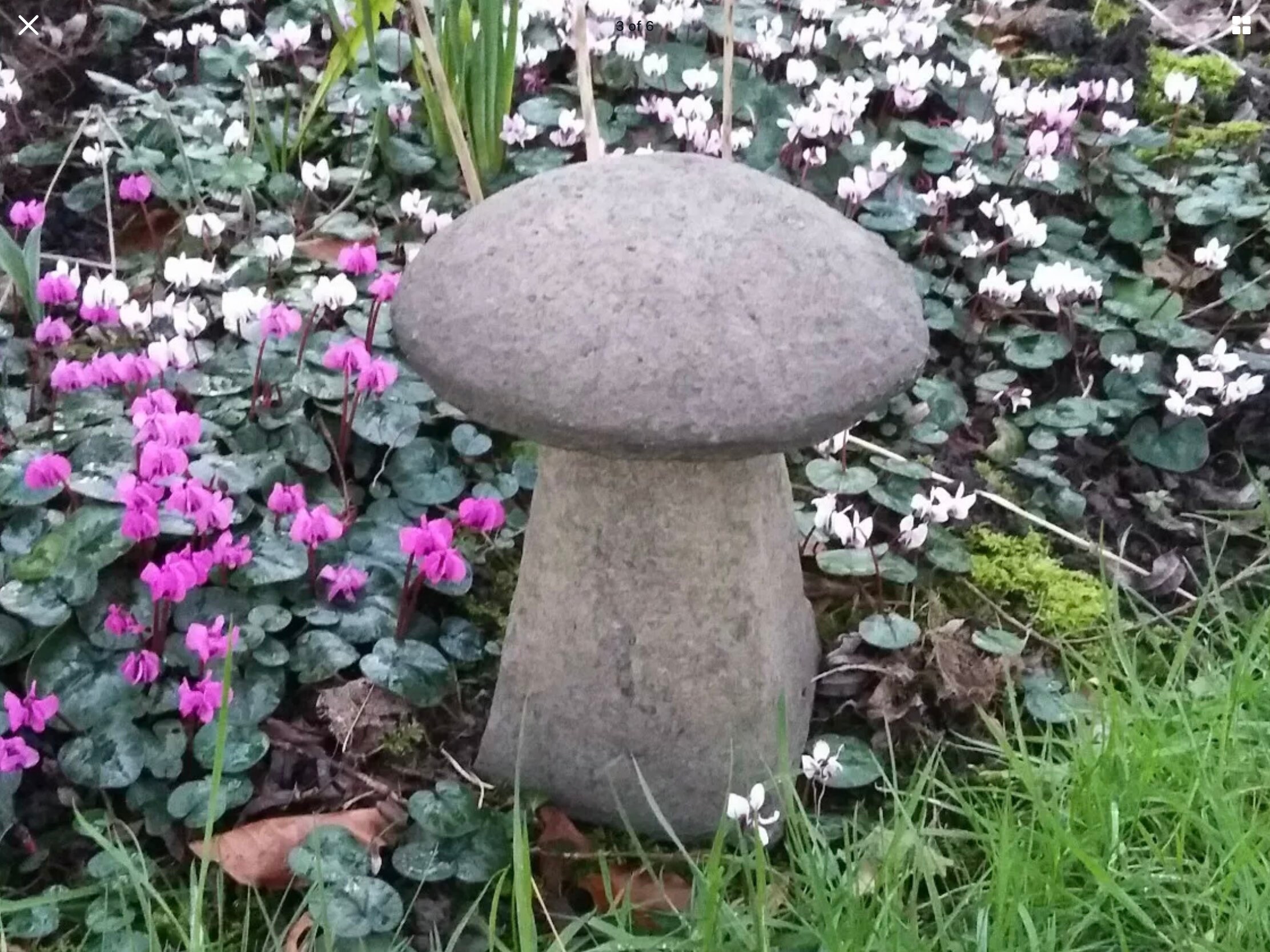 Stone Garden Mushroom / Toadstool Ornament - Etsy UK