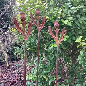 Set of 3 Rusty Metal Thistle Plant Supports / Stands Garden - Steel ...